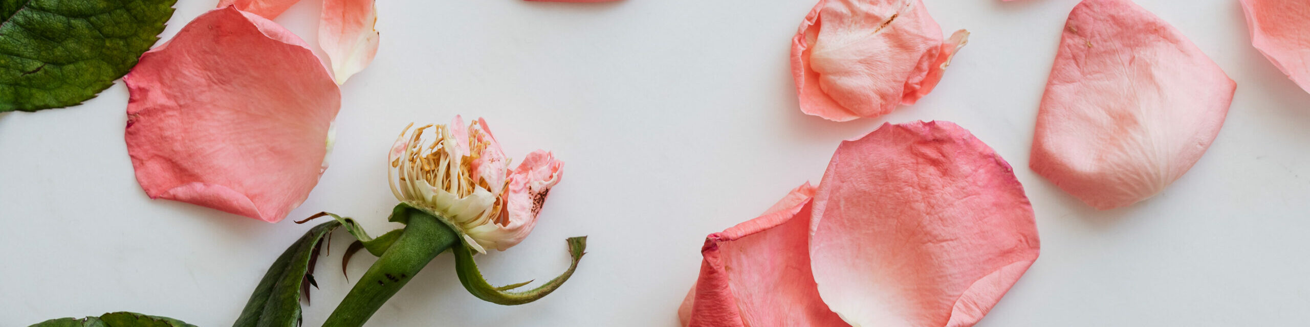 Nothing Can Separate Us from God’s Love – Living Hope Church