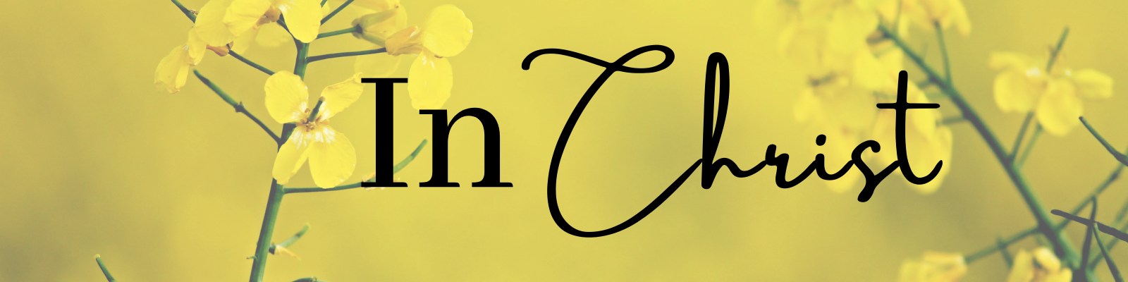 In Christ – Living Hope Church